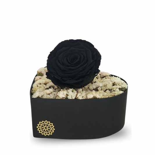 Rosas Eternas – Visto Flowers | Envio de Flores