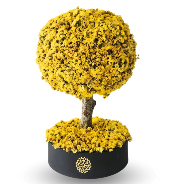 Árbol del Amor Eterno- Dura 6 meses – Visto Flowers | Envio de Flores
